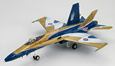 CF-18 "Centennial Hornet" celebrating "100 Years of Powered Flight in ...